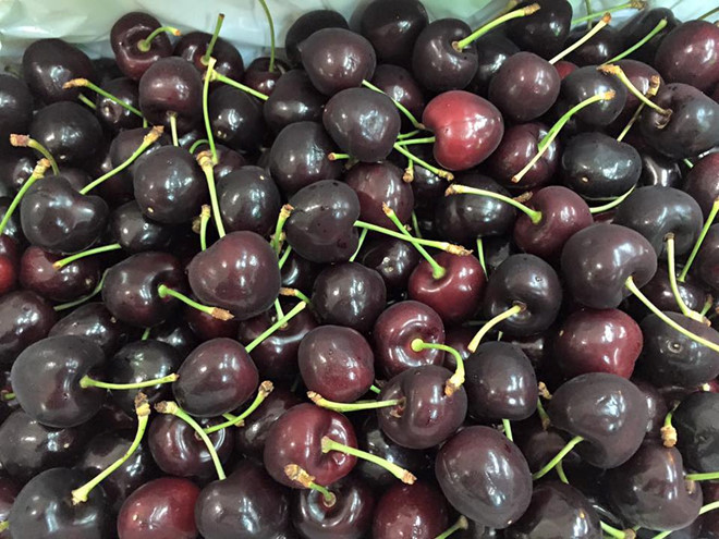 Gần 10 năm nay, cherry Australia vào Việt Nam bằng con đường nào?