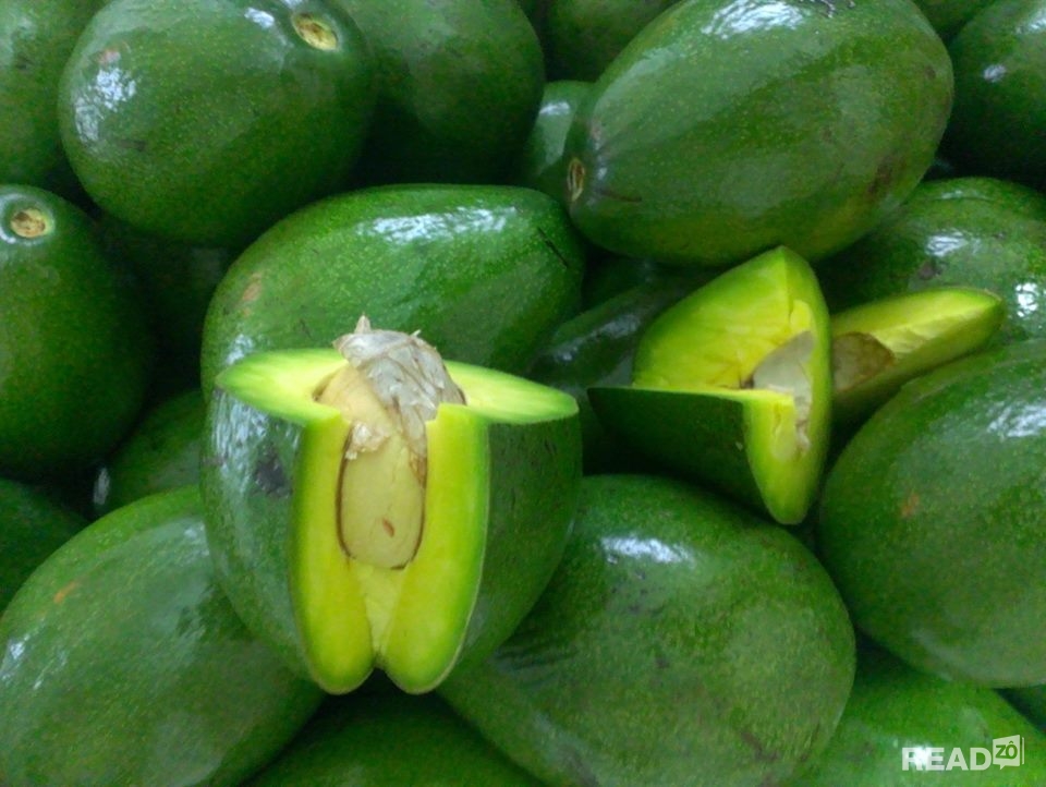 Tác dụng đáng sợ khi ăn quả bơ nhiều người đang không biết