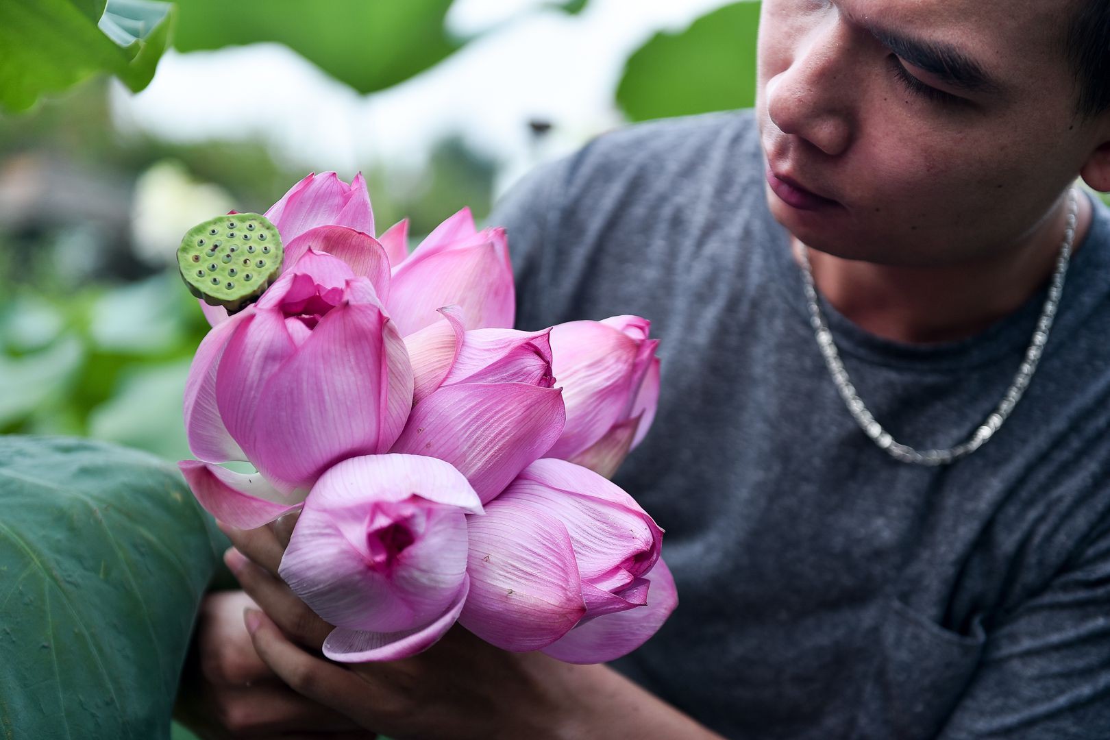 Chàng trai 8x bỏ công việc "ngàn đô" và hành trình đi tìm hoa sen “bất tử”