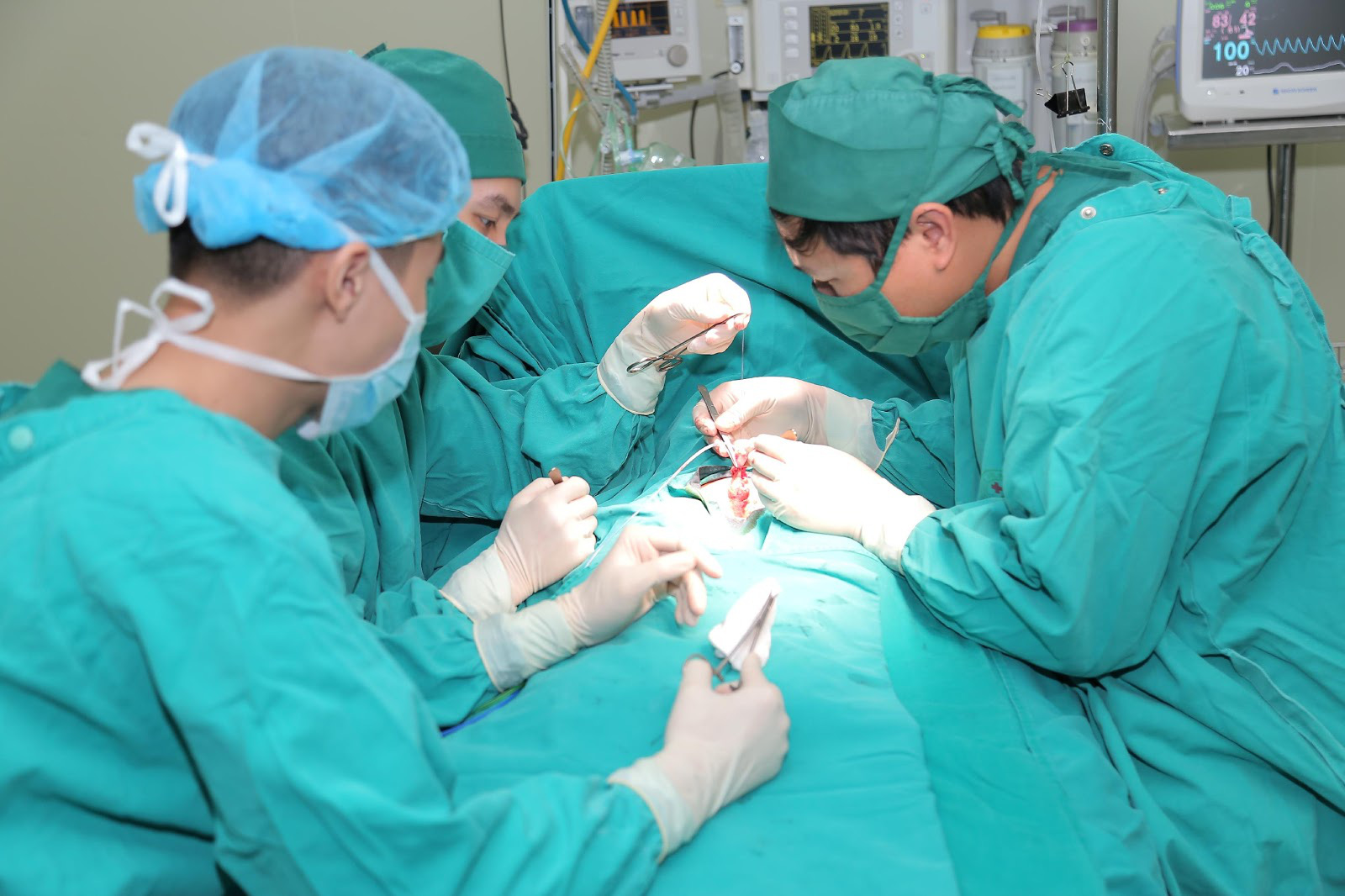 “Chim nhỏ” của con ngắn và bé?