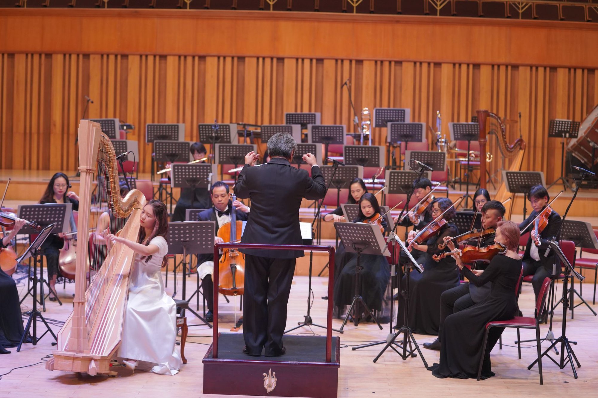 Nghệ sĩ độc tấu Thuỳ Dương – người chơi đàn Harp chuyên nghiệp đầu tiên ...