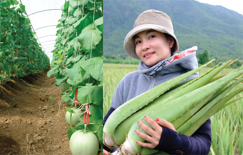 G.C Food góp phần nâng tầm nông sản Việt
