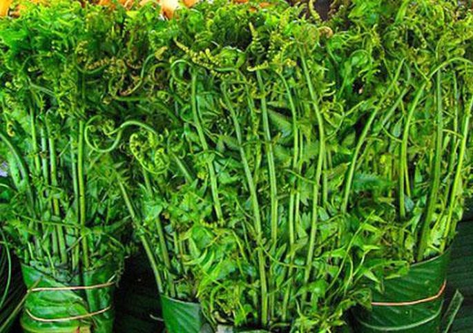 Món rau dại là đặc sản đãi khách giúp nhuận tràng, bảo vệ gan… chế biến ...
