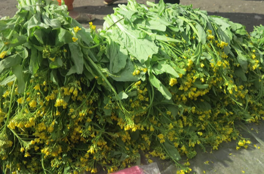 Tháng 12 hoa cải vàng rực rỡ, hãy tận dụng để chế biến món ăn lạ miệng ...