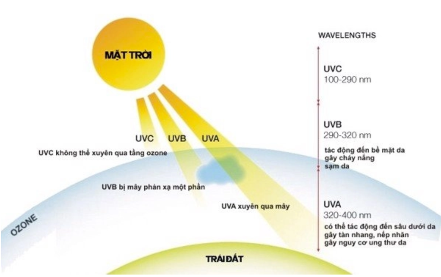 Tia cực tím là gì? Thừa thì gây ung thư da, đủ thì có lợi cho sức khỏe ...
