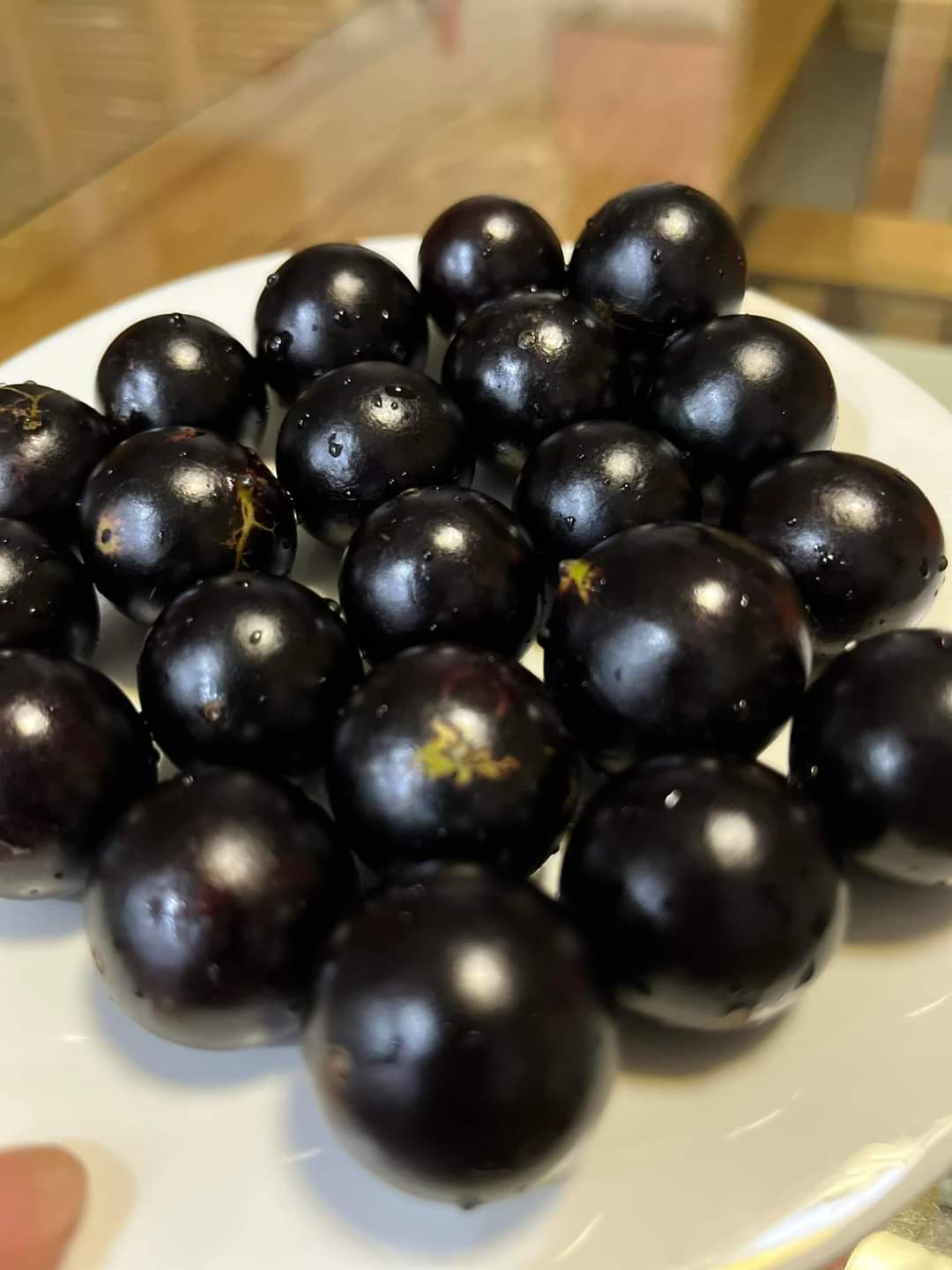 Lạ đời loại nho mọc chi chít dọc thân cây, nhiều người tò mò muốn đặt ...