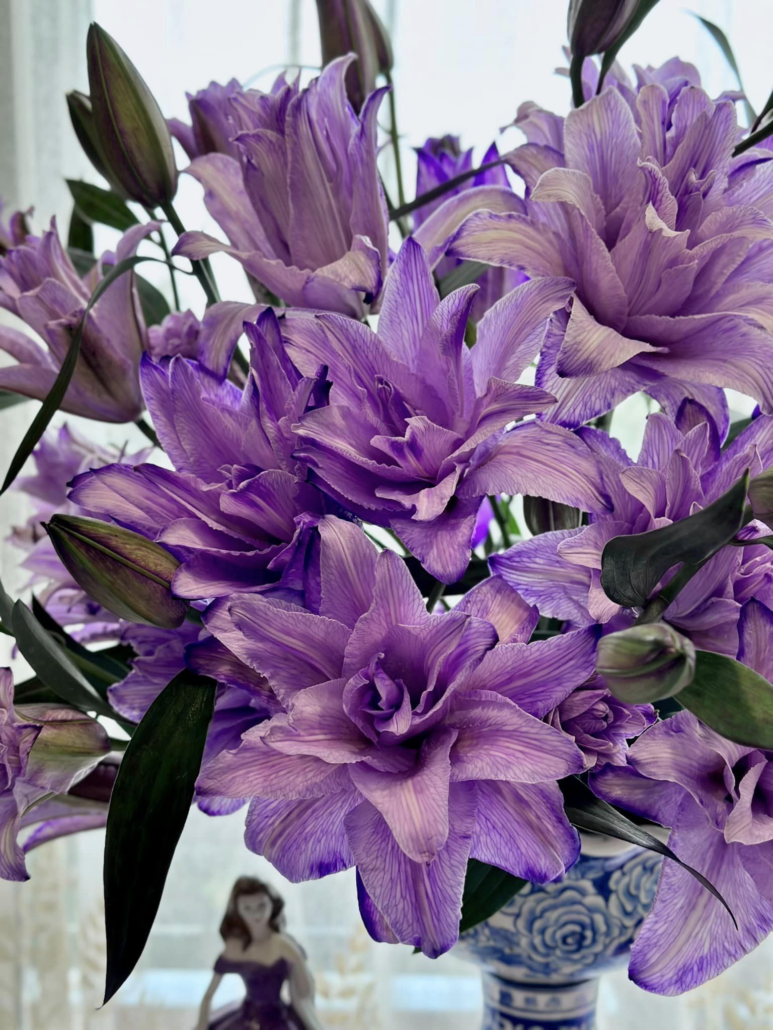 Hoa ly có màu sắc độc lạ, trượng trưng cho sự sum vầy trong năm mới