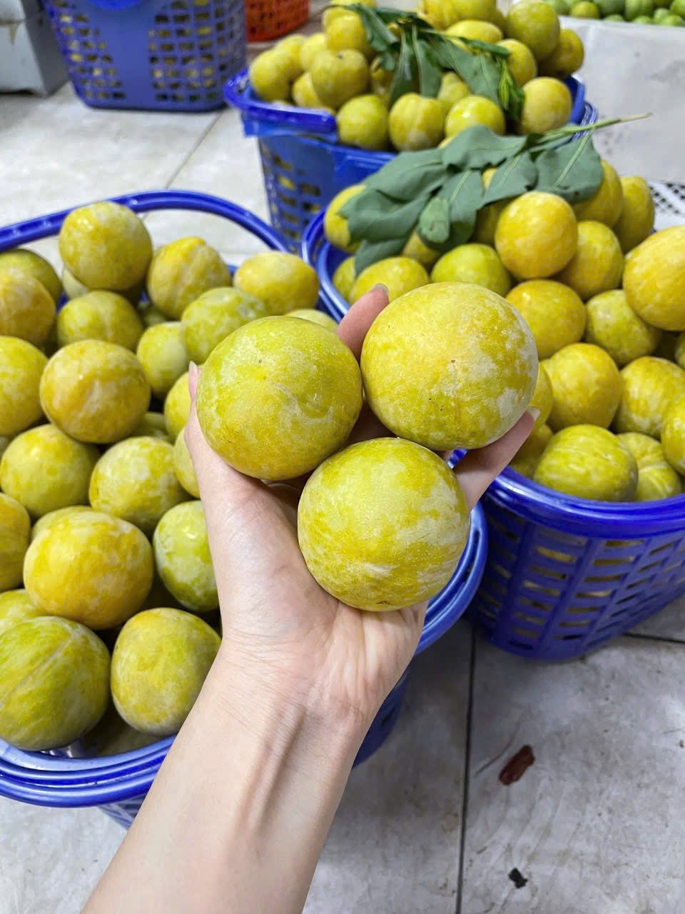 Một loại mận của Trung Quốc có giá vài trăm nghìn đồng/kg đổ bộ thị ...