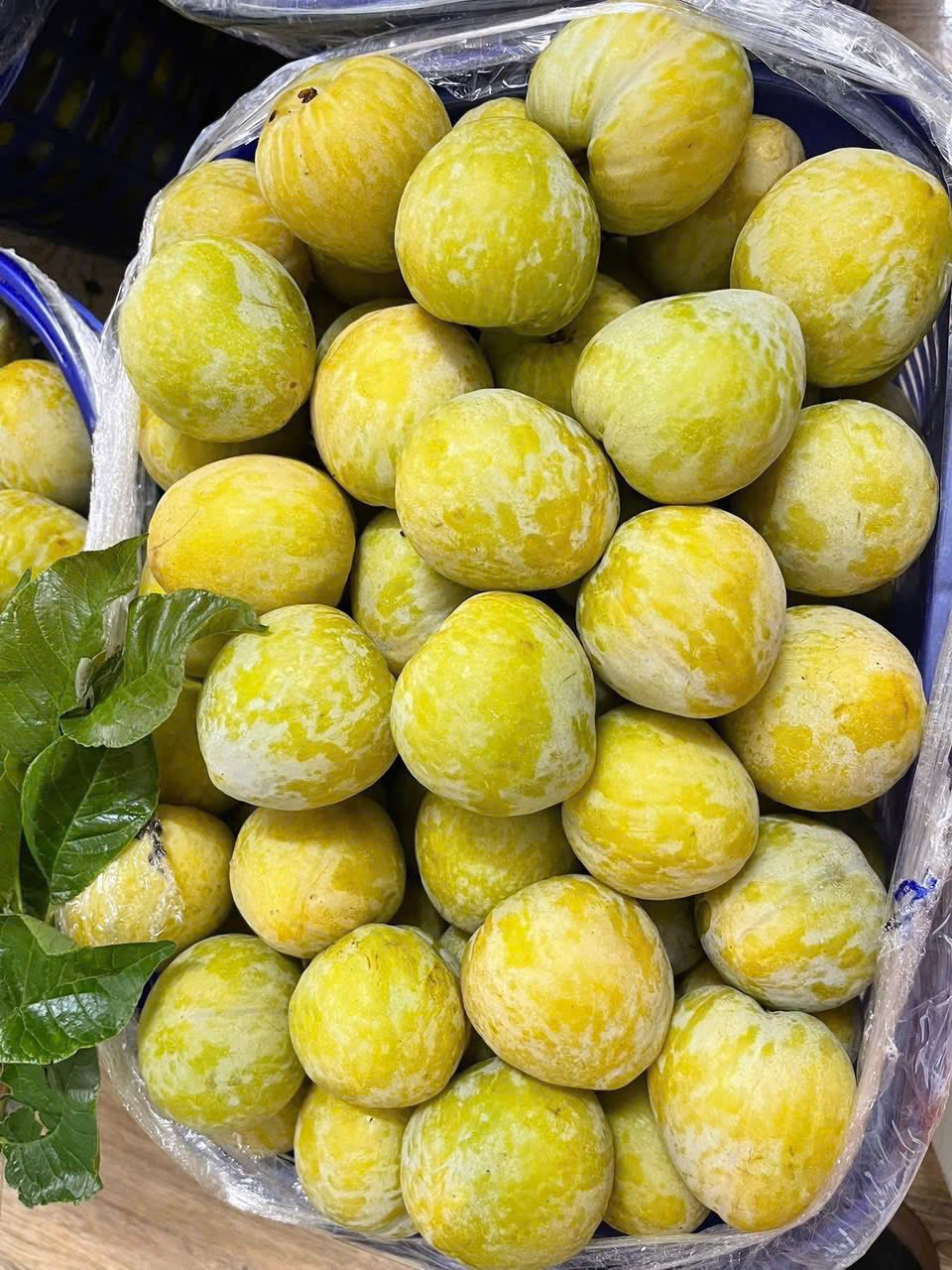 Một loại mận của Trung Quốc có giá vài trăm nghìn đồng/kg đổ bộ thị ...