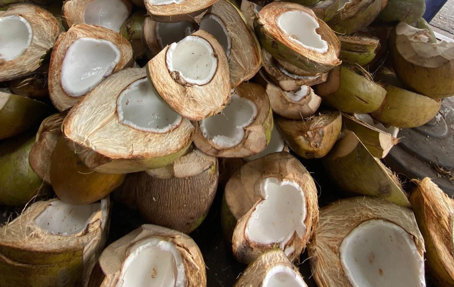 Sorprendentemente, hay muchas cosas nutritivas en los cocos que son ...