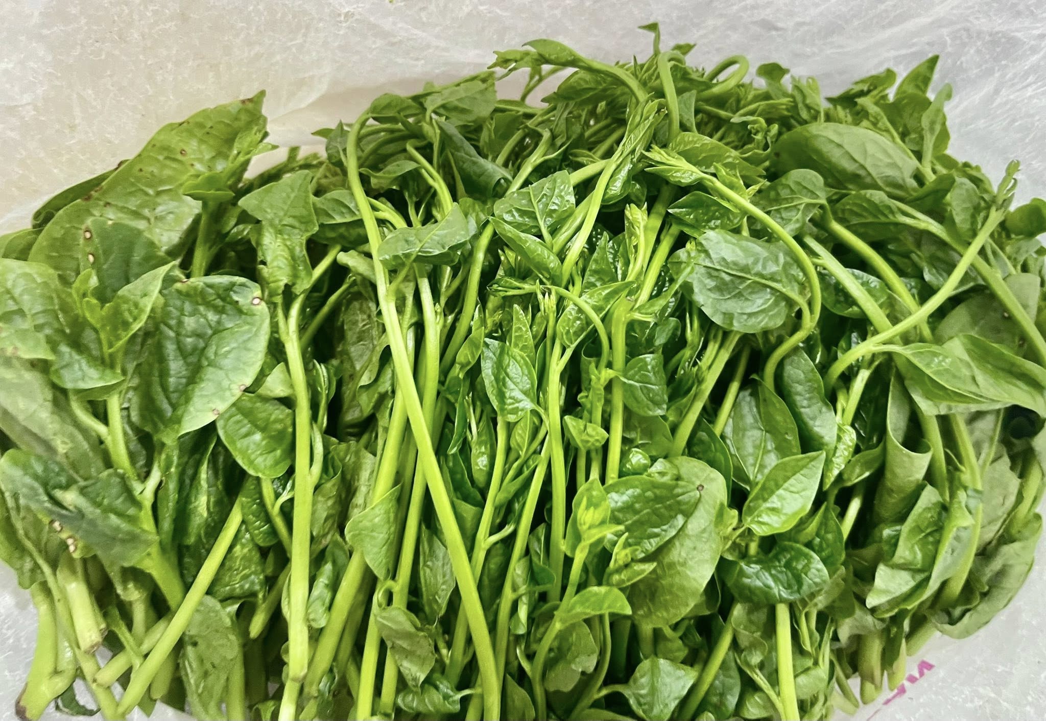 5 types of summer vegetables that help control blood lipids and are ...