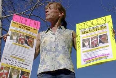 Hà Nội: Rao thưởng 10 triệu tìm chó cưng