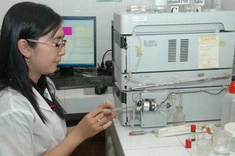 Phân biệt sâm Việt Nam với Triều Tiên và Trung Quốc