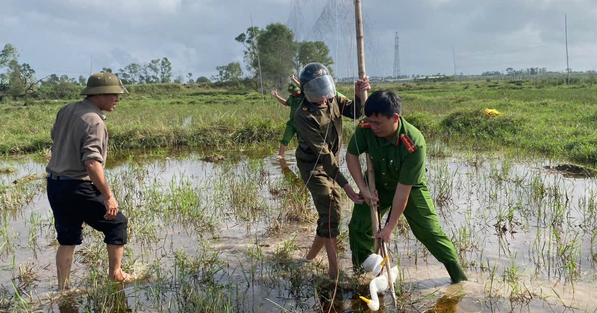Hà Tĩnh ngăn chặn nạn bẫy bắt chim trời