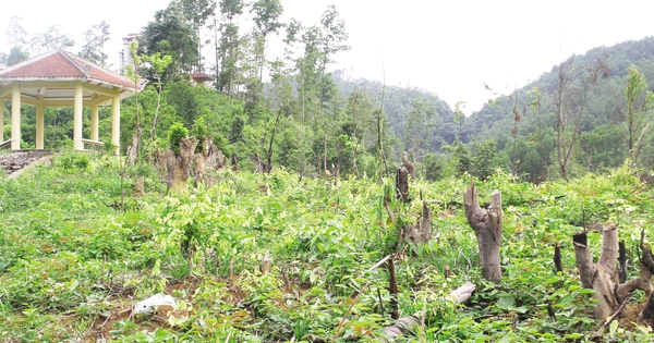 Thái Nguyên: Tan hoang rừng Khuôn Mánh