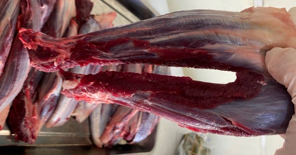 Giá cao chót vót, loại thịt bò siêu hiếm này vẫn được săn lùng dịp Tết