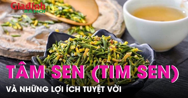 Những công dụng tuyệt vời của tim sen (tâm sen) đối với sức khỏe
