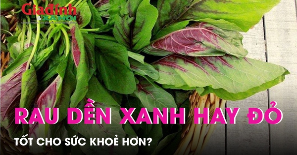 Rau dền xanh hay rau dền đỏ tốt cho sức khoẻ hơn?