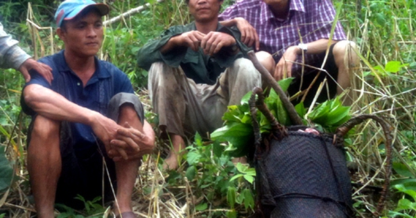 'Người rừng' Quảng Ngãi được đóng phim