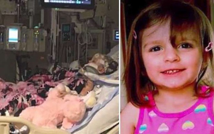 Jason Wesche's Instagram, Twitter & Facebook on IDCrawl